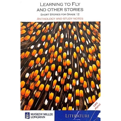 Learning to Fly and Other Stories - Future Manager Books