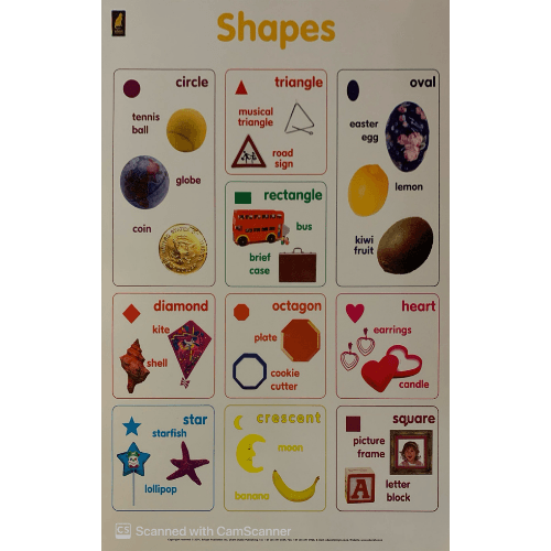 Poster A1: Shapes - Future Manager Books