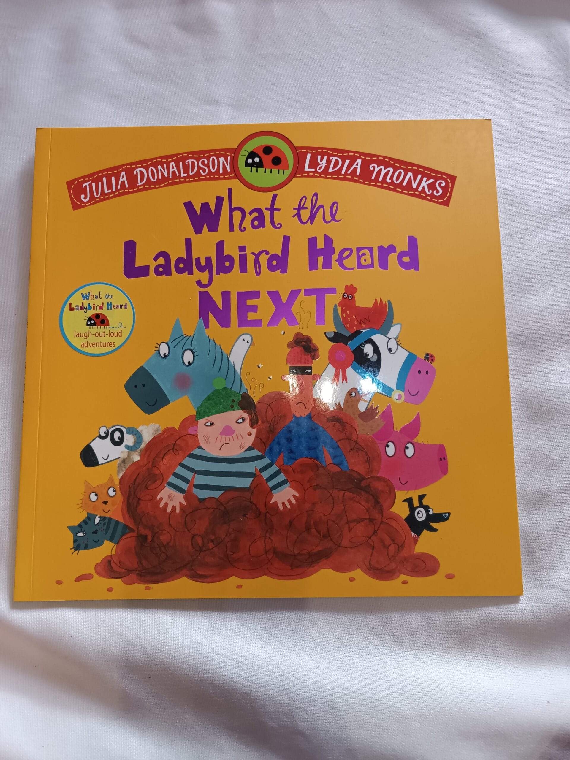 What the Ladybird Heard Next - Future Manager Books